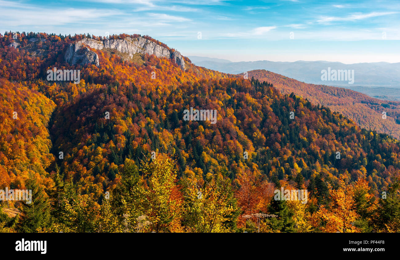 gorgeous mountainous autumn landscape. cliff above the forest with ...