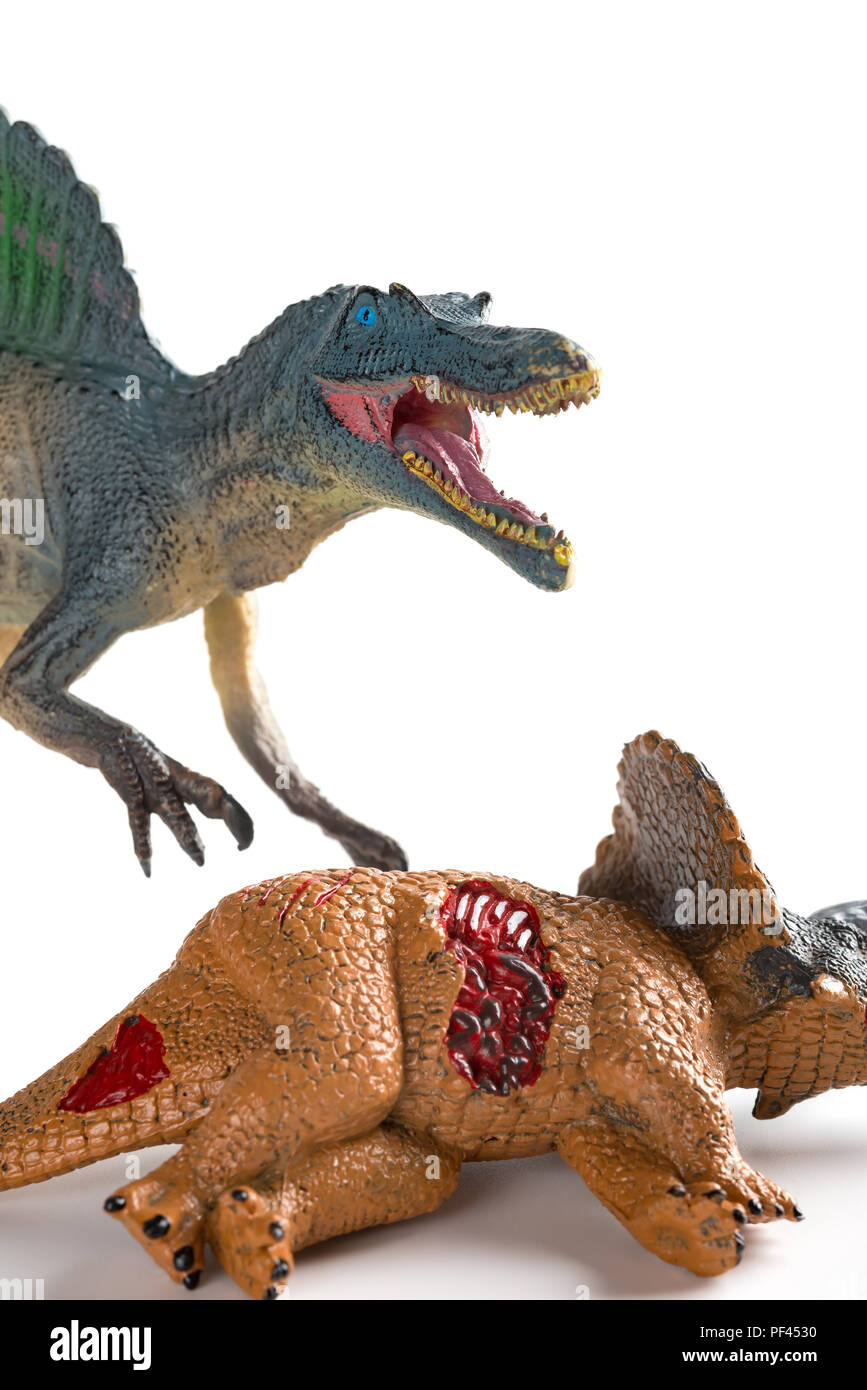 spinosaurus with a triceratops body nearby on white background vertical ...