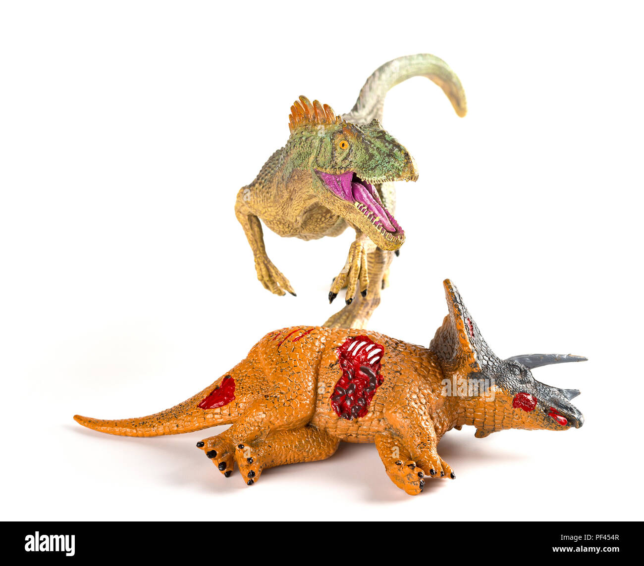 front view allosaurus with a triceratops body nearby on white ...