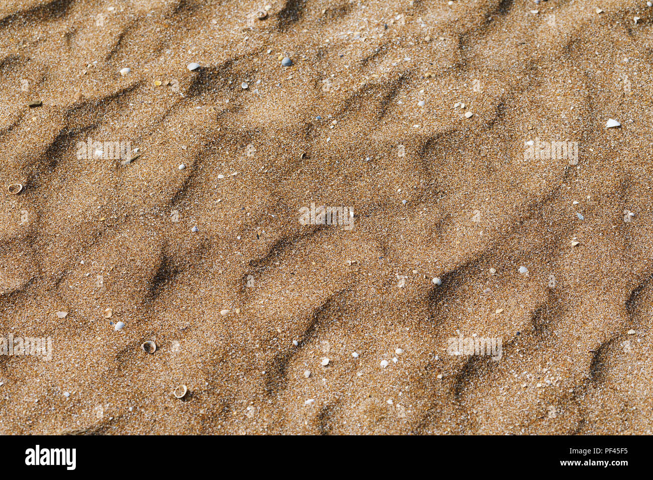 Texture of sandy beach surface with crushed shells, top view Stock ...