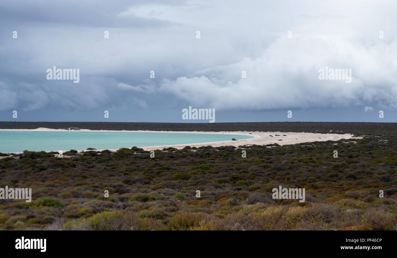 Shell Beach, Francois Peron National Park WA, Western Australia Stock ...