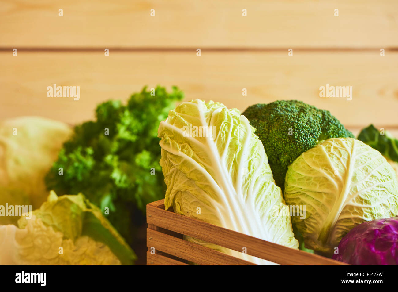 Different cabbages hi-res stock photography and images - Alamy