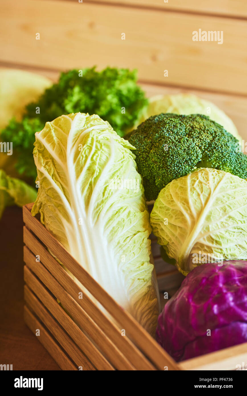 Different cabbages hi-res stock photography and images - Alamy