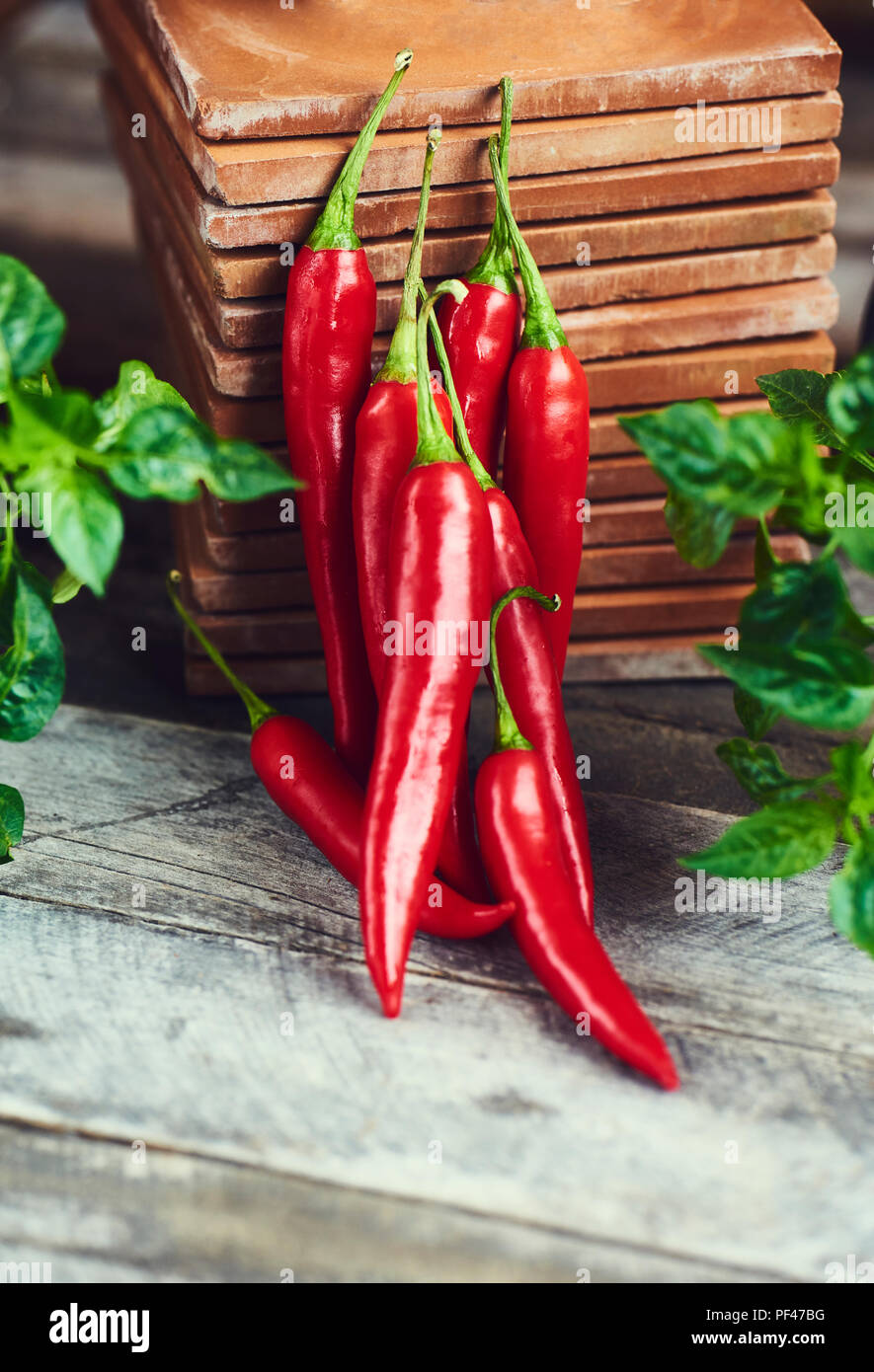 fresh red hot chili pepper on rustic background Stock Photo - Alamy