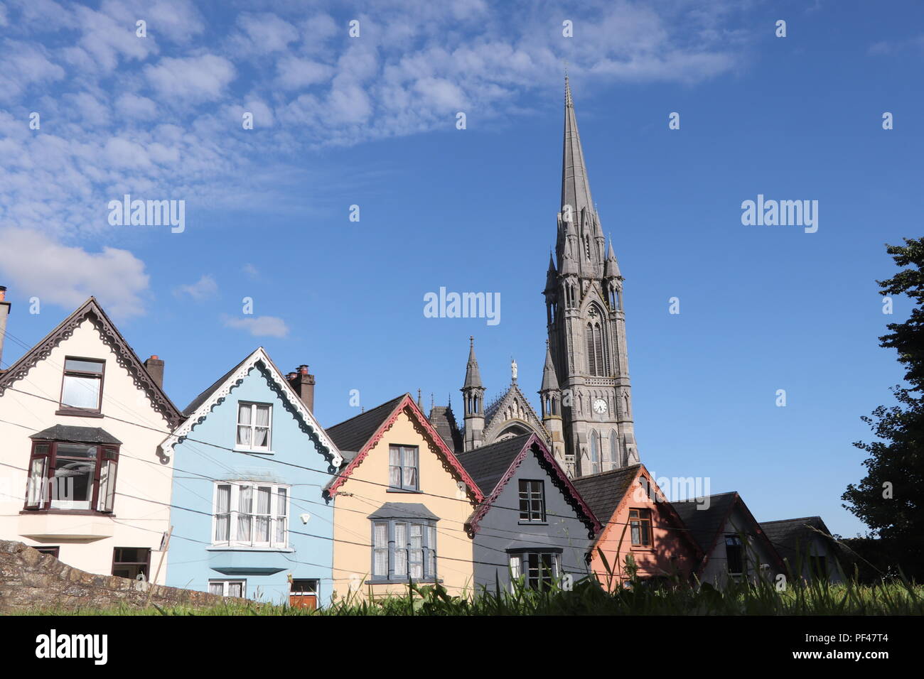 Cobh colorful houses and the magnificent Cathedral, looking as it sits ...