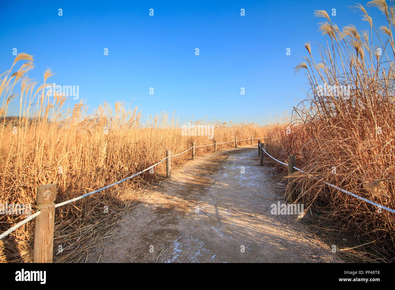 Winter landscape of Haneul Park, another name is Skypark, in Seoul ...