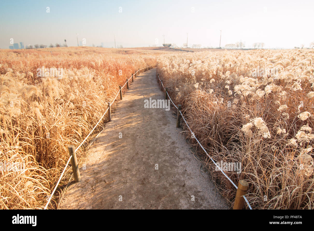 Winter landscape of Haneul Park, another name is Skypark, in Seoul ...