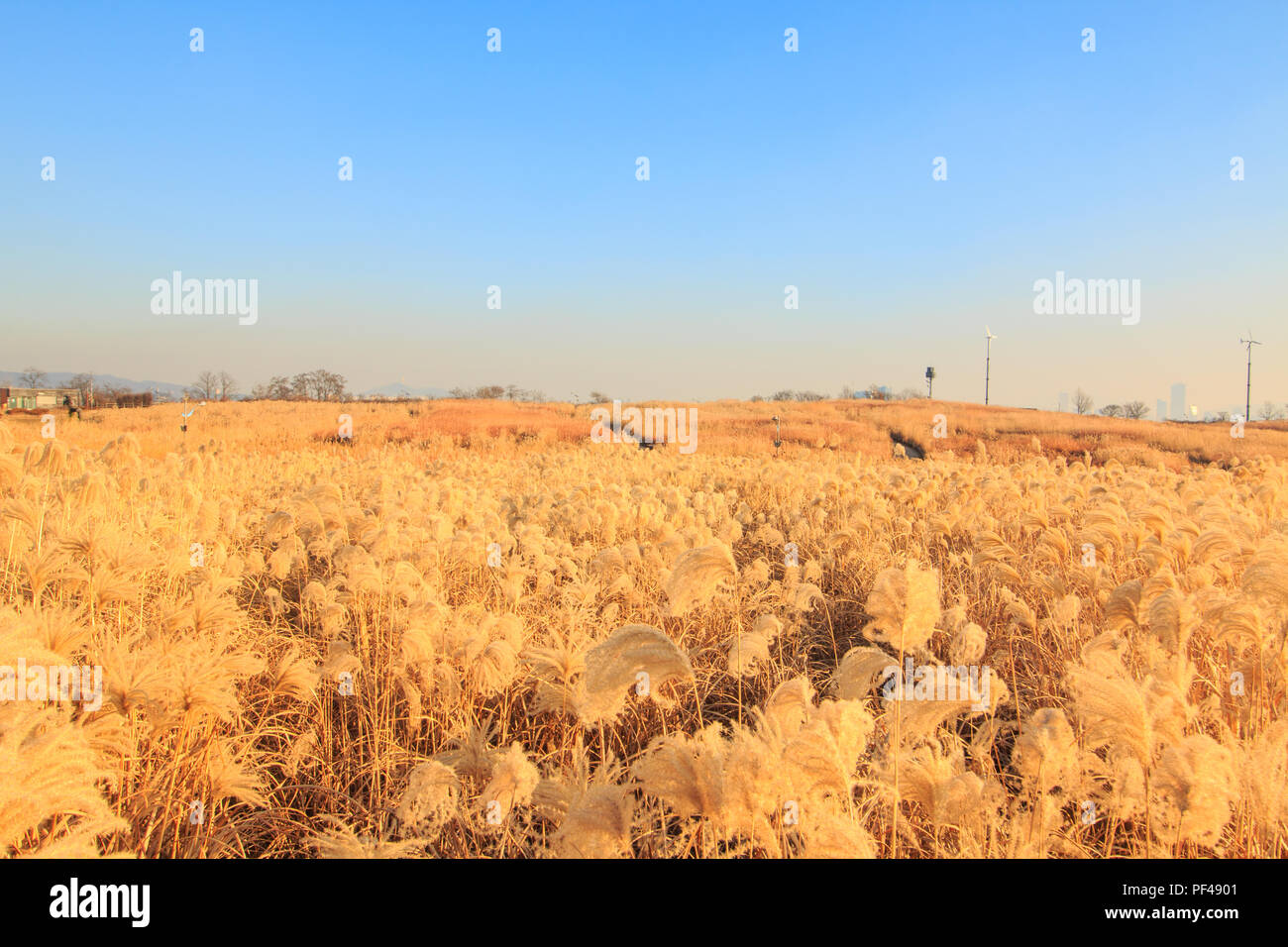 Winter landscape of Haneul Park, another name is Skypark, in Seoul ...
