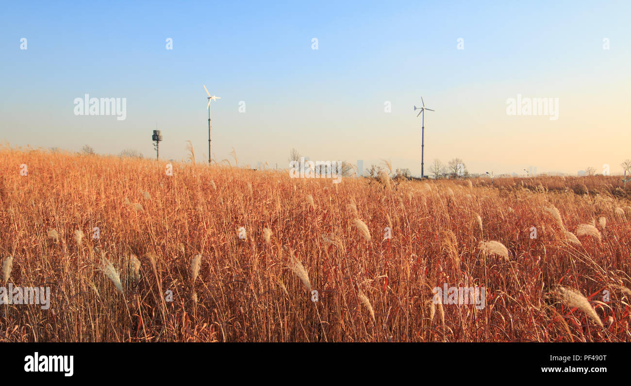 Winter landscape of Haneul Park, another name is Skypark, in Seoul ...
