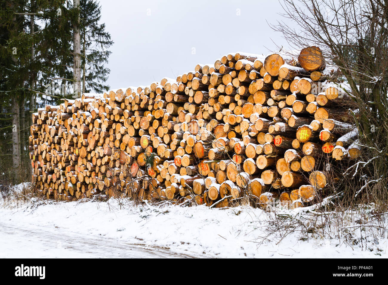 Fresh cut timber hi-res stock photography and images - Alamy