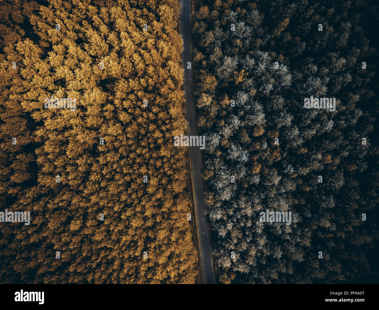 Summer fall transition hi-res stock photography and images - Alamy