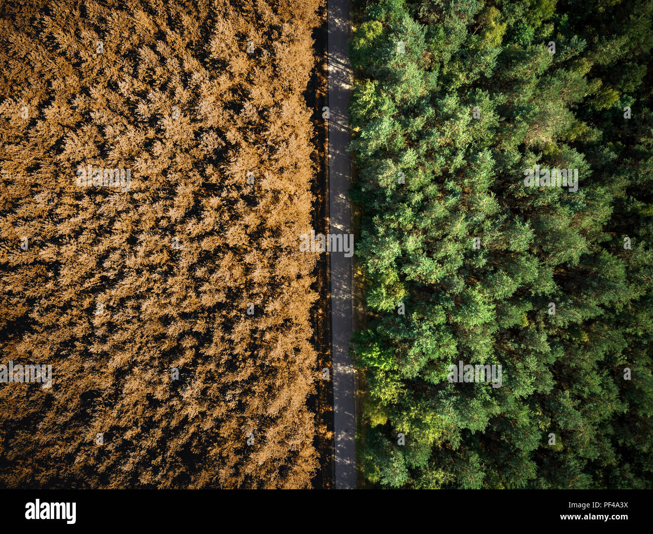 Summer fall transition hi-res stock photography and images - Alamy