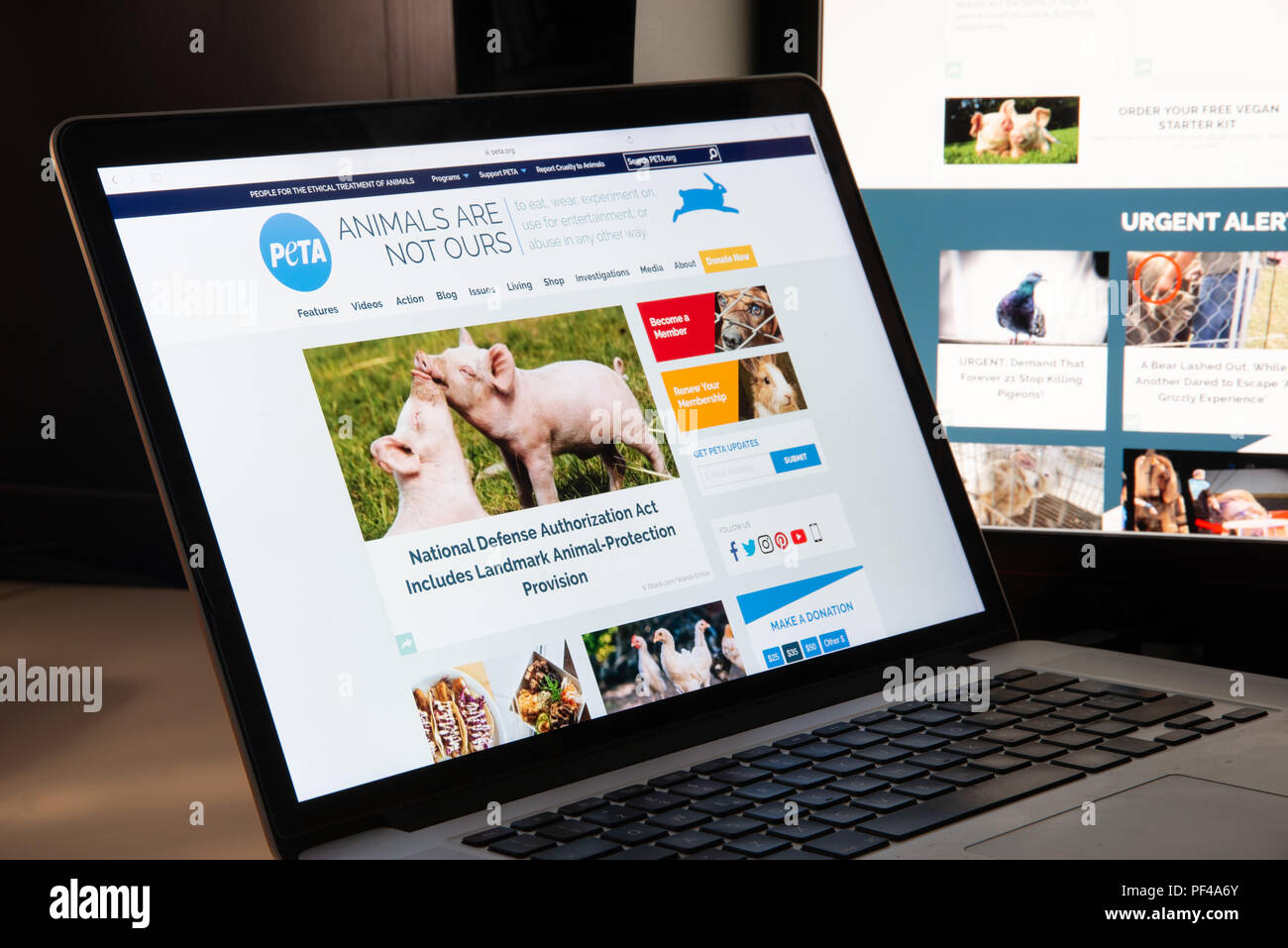 Peta logo hi-res stock photography and images - Alamy