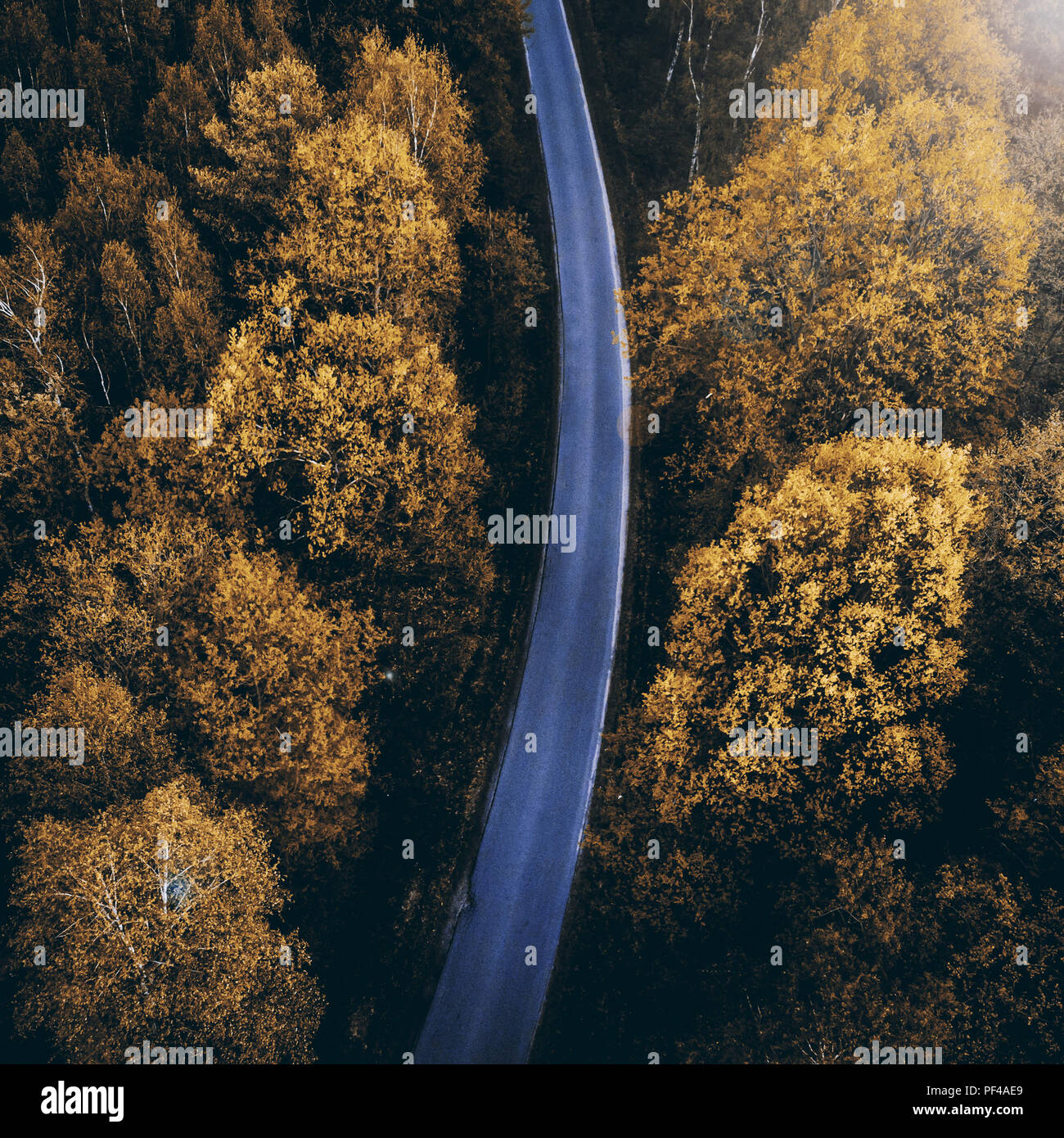 Top down drone autumn wood hi-res stock photography and images - Alamy