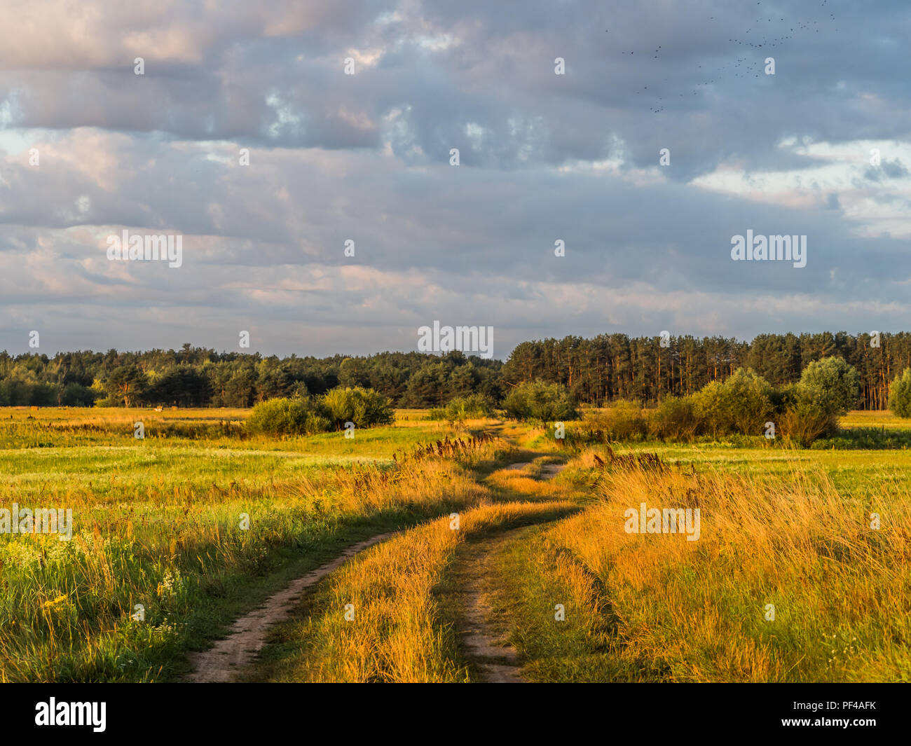 Podlaskie region poland hi-res stock photography and images - Alamy