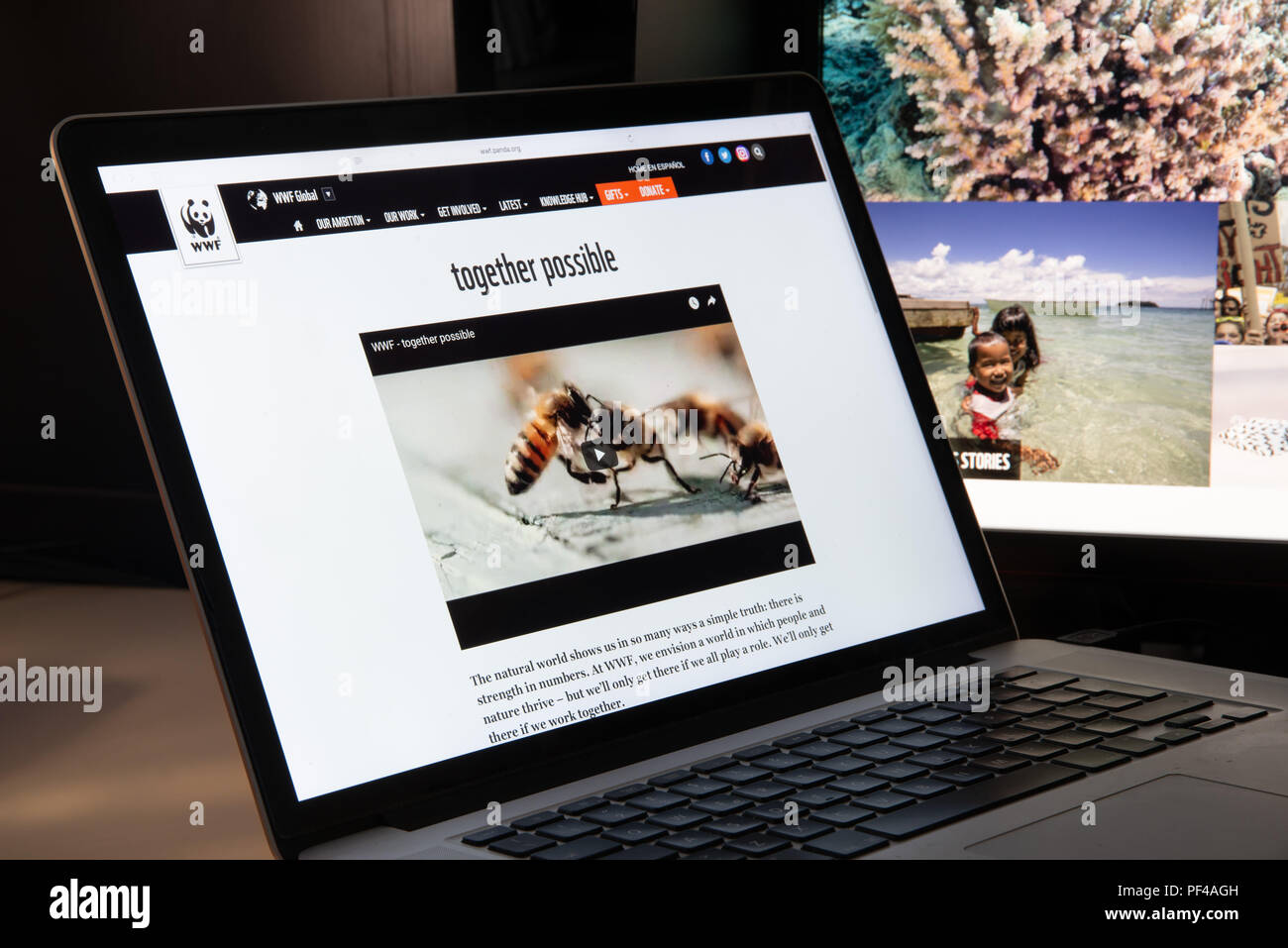 Milan, Italy - August 15, 2018: WWF NGO website homepage. WWF logo ...