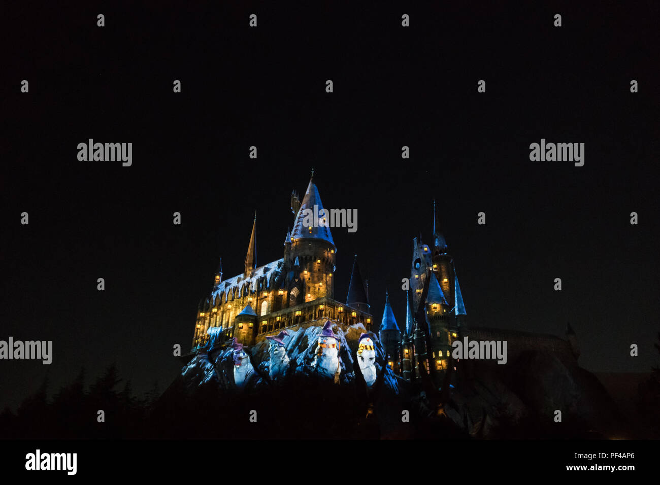 Harry Potter Hogwarts Castle Night