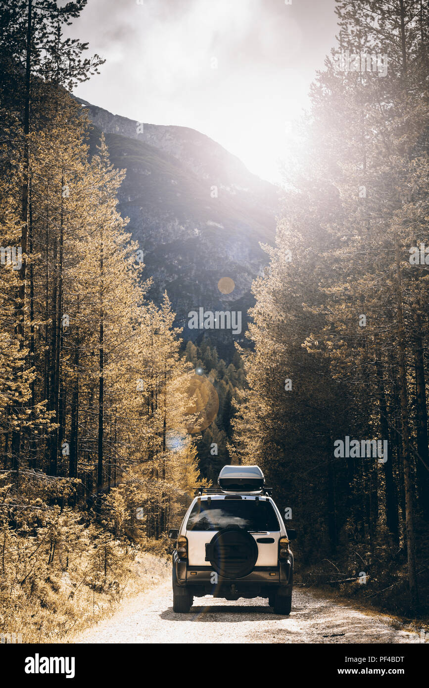 Off road car on dirt road in forest at autumn Stock Photo - Alamy