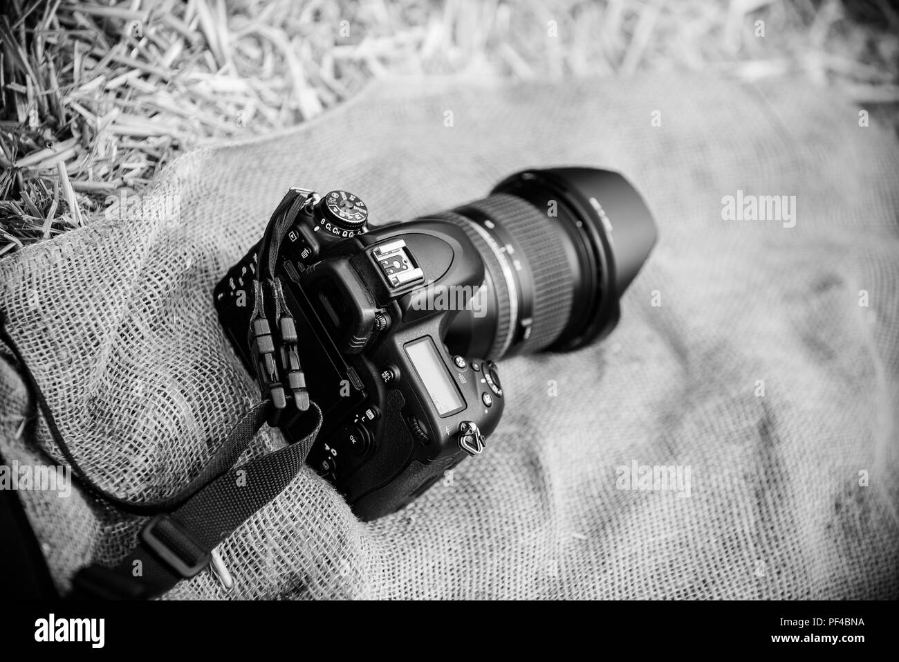 Eastbourne wedding photographer hi-res stock photography and images - Alamy