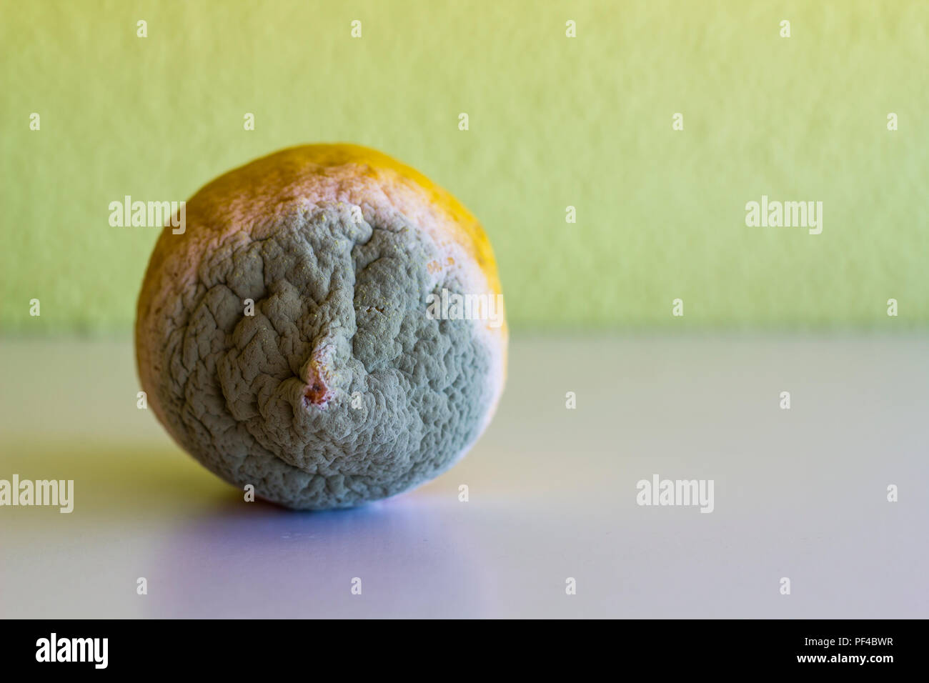 Spoiled lemon with mold Stock Photo - Alamy