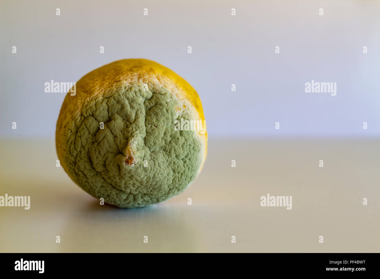 Spoiled lemon with mold Stock Photo - Alamy