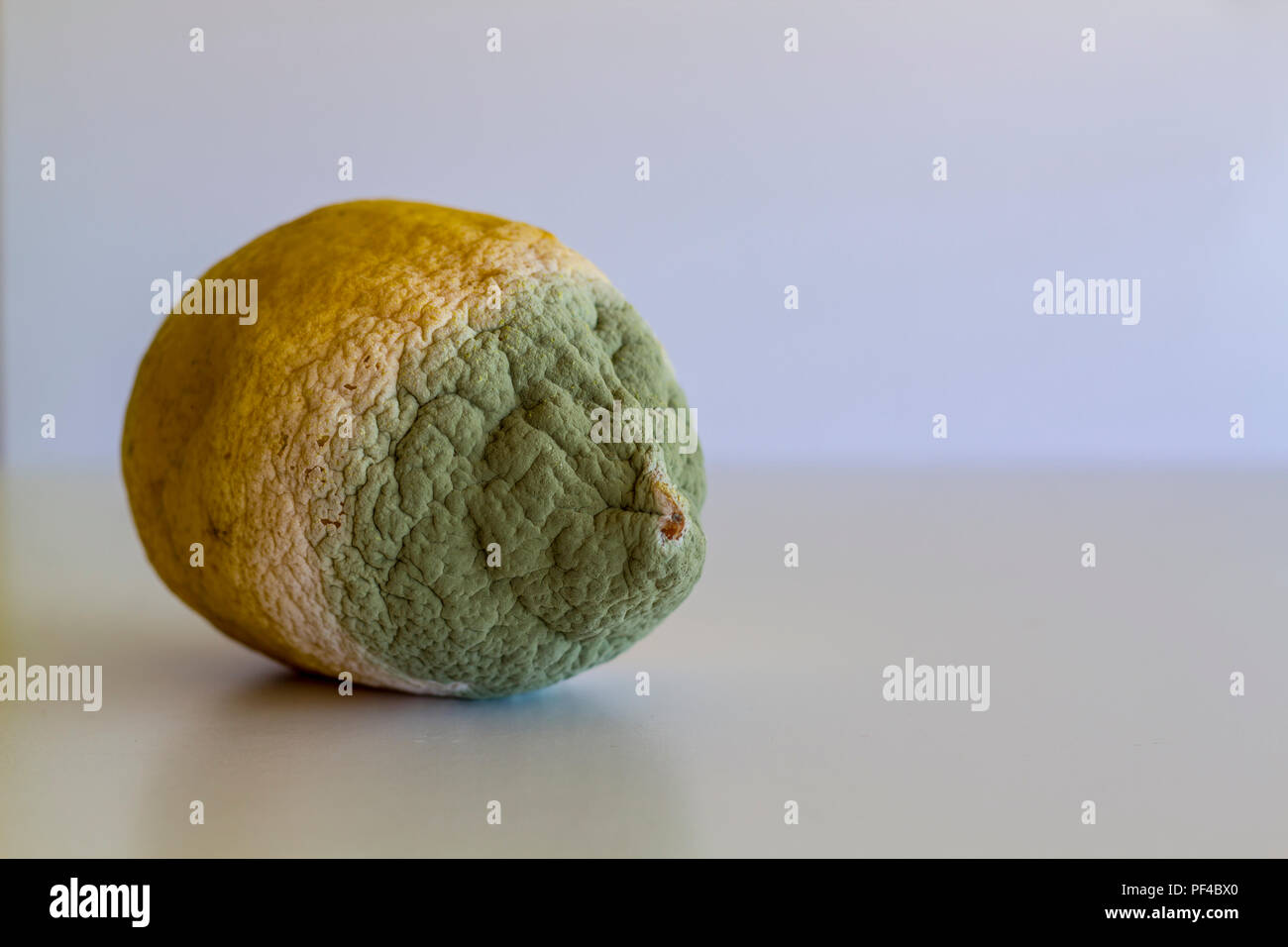 Spoiled lemon with mold Stock Photo - Alamy