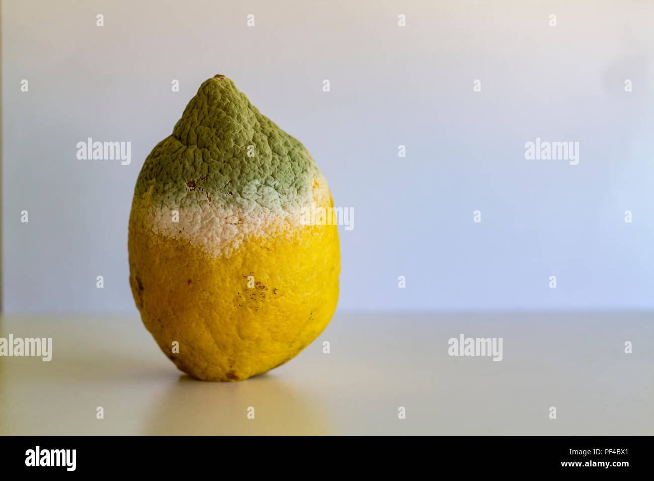 Spoiled lemon with mold Stock Photo - Alamy