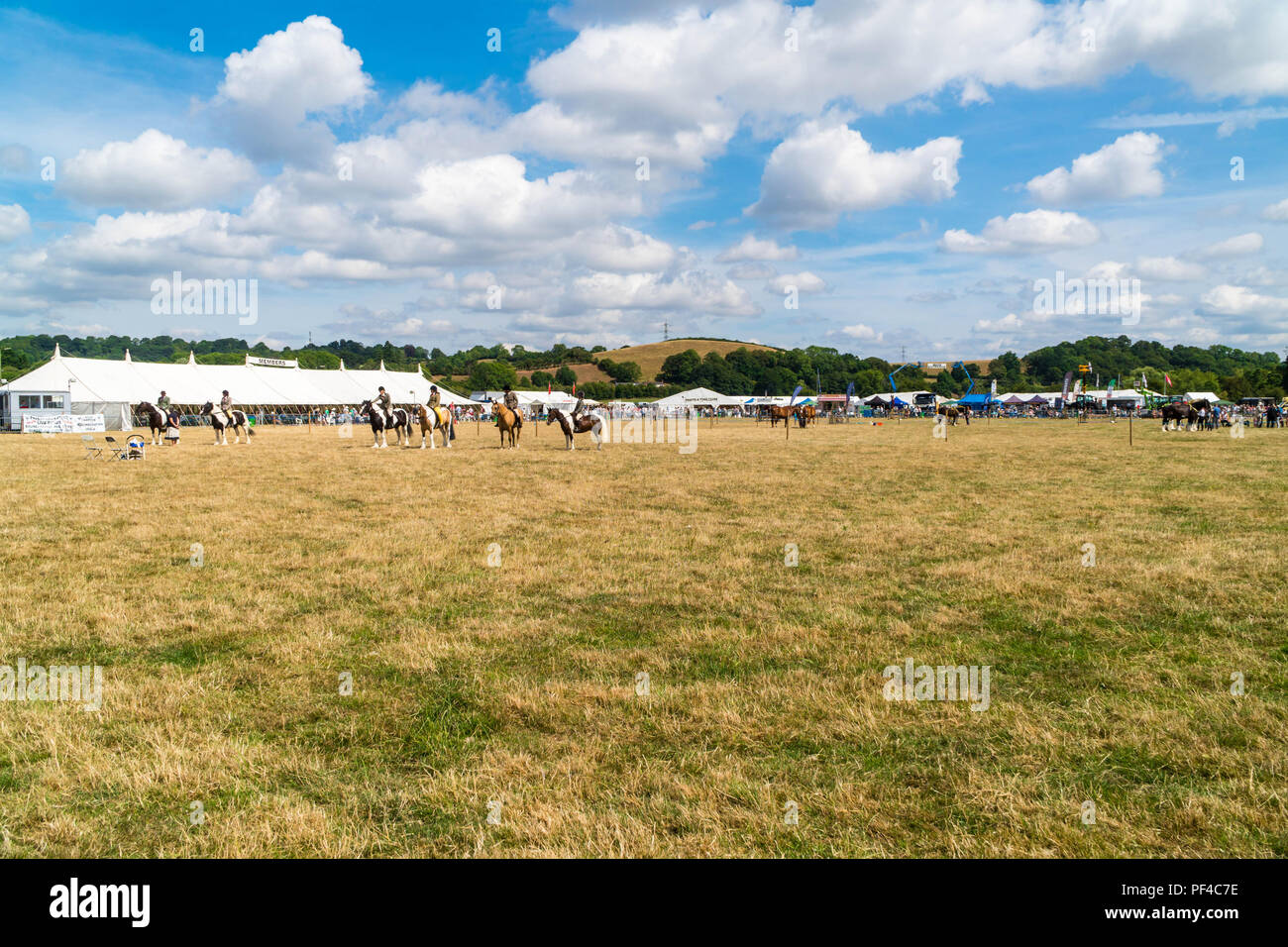 Competitors in the horse and pony section take to the ring, Tenbury ...