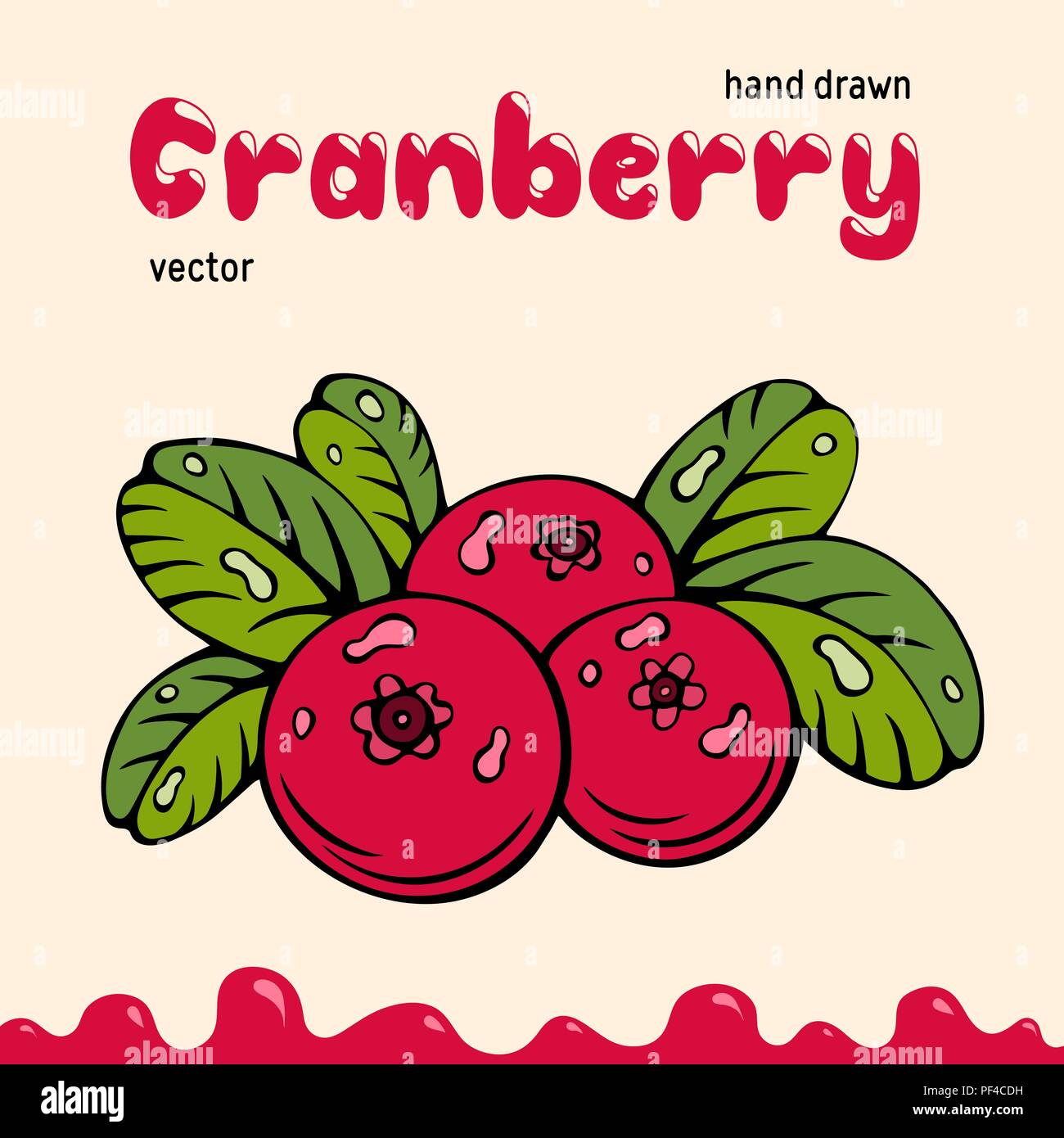 Cranberry vector illustration, berries images. Doodle cranberry vector ...