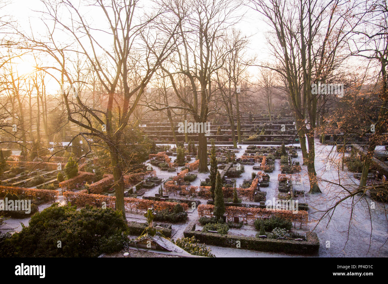 German cemetery in morning sun fog Stock Photo - Alamy