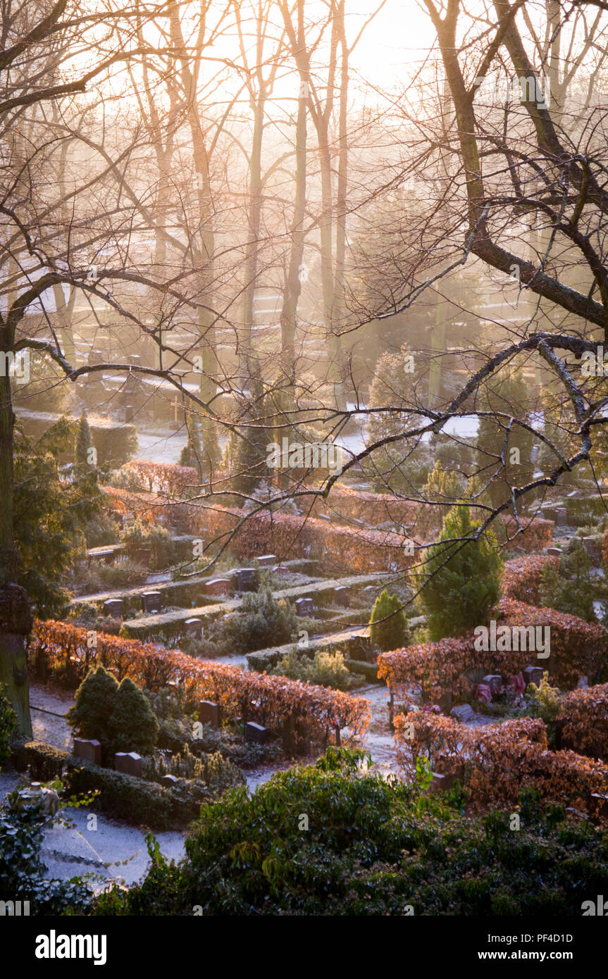 Cemetery in morning dusk hi-res stock photography and images - Alamy