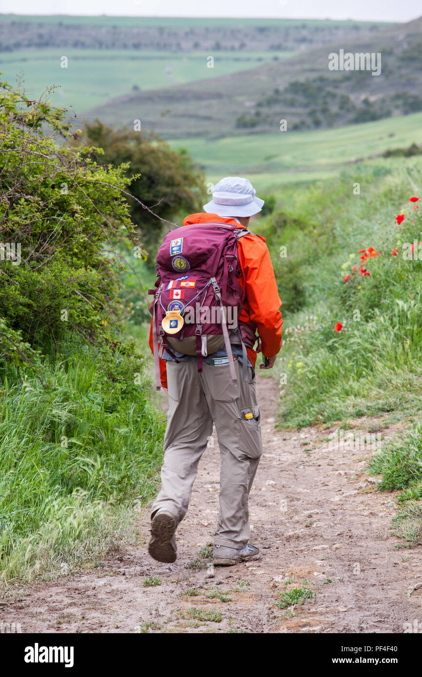 Pilgrim man walking the Camino de Santiago the way of St James ...