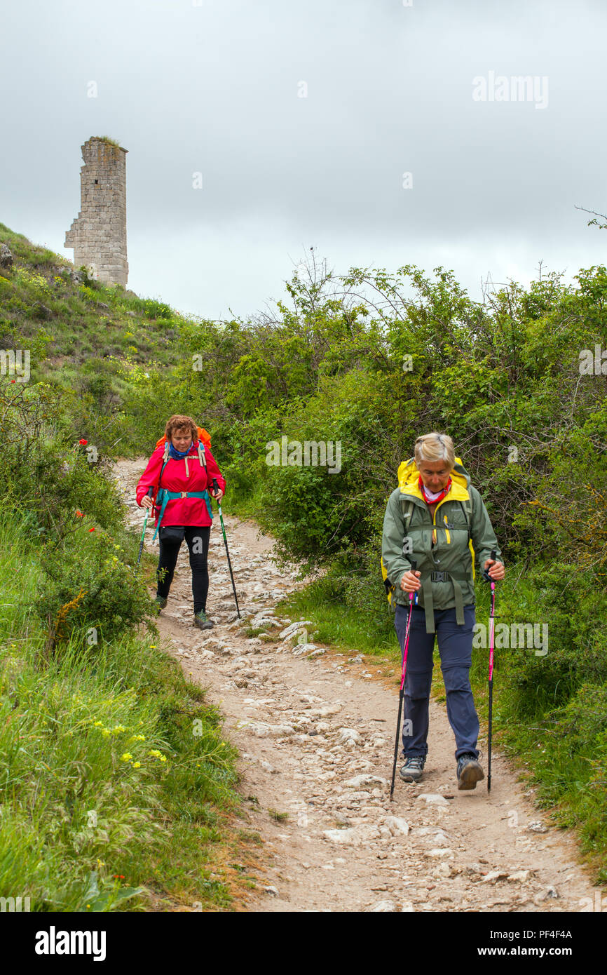 Pilgrims walking the Spanish pilgrim route the Camino de Santiago the ...