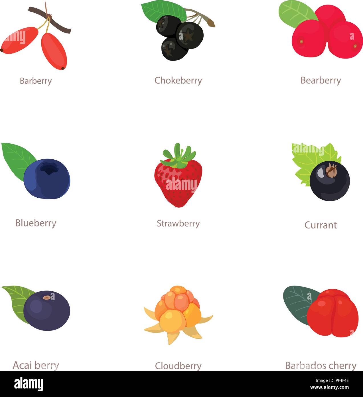 Berry variety icons set, cartoon style Stock Vector Image & Art - Alamy