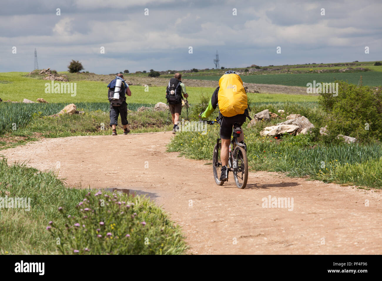 Cyclists cycling the Camino de Santiago the way of St James pilgrimage ...