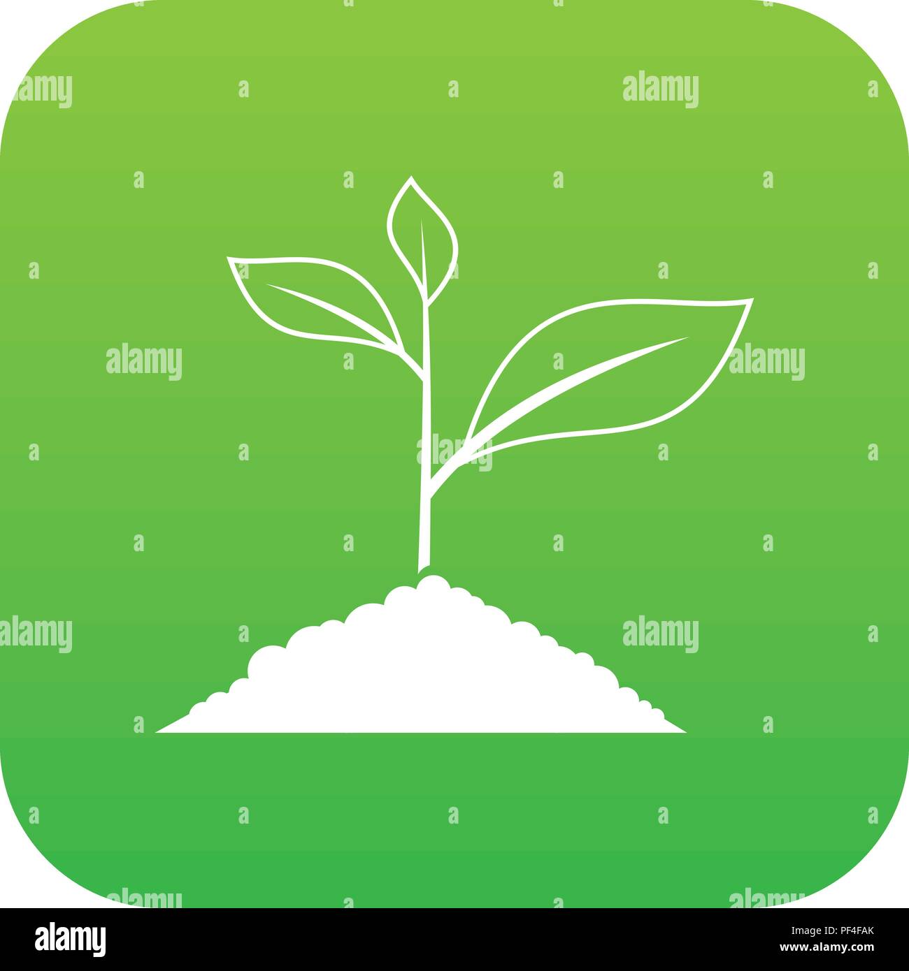 Growing plant icon digital green Stock Vector Image & Art - Alamy