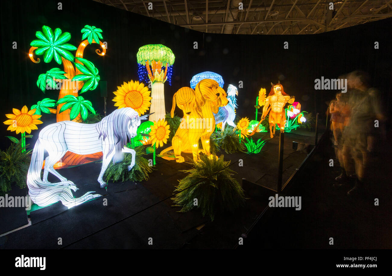 Toronto, Canada. 18 August 2018 People watch lanterns during the indoor ...