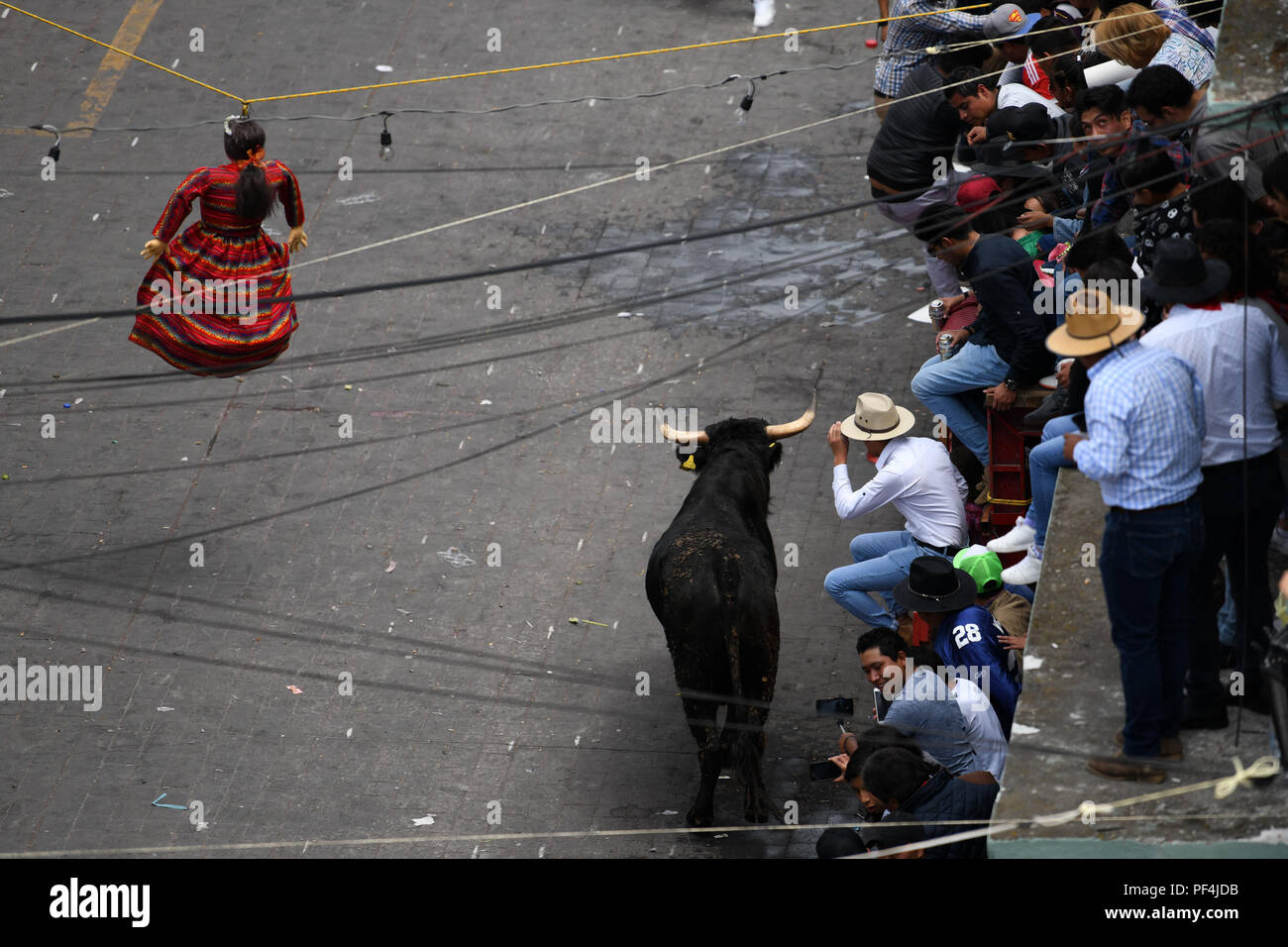 Bull running mexico hi-res stock photography and images - Alamy