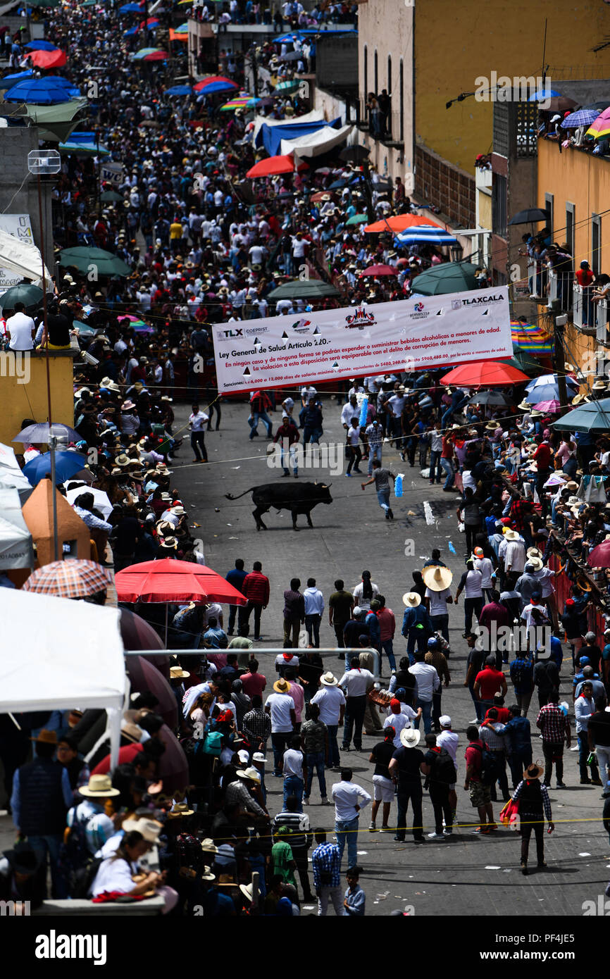 Tlaxcala, Mexico. 18th Aug, 2018. A bull reacts during a running of the ...