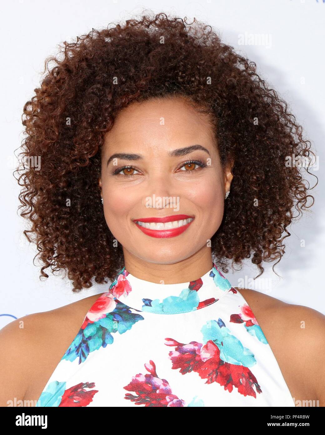 Los Angeles, CA, USA. 18th Aug, 2018. Rochelle Aytes at arrivals for ...