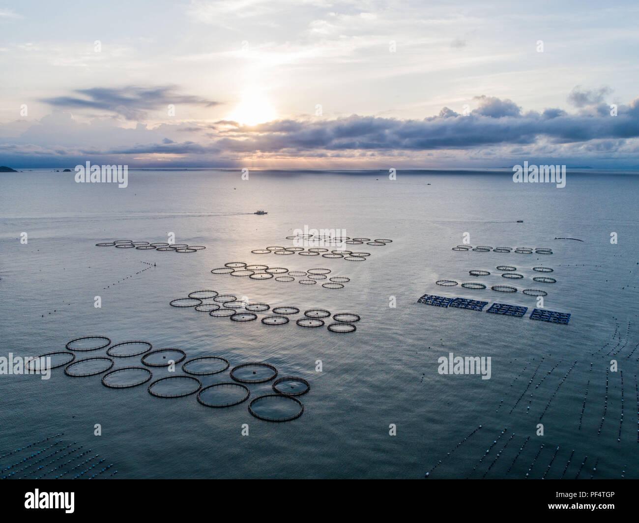 Mussel cages hi-res stock photography and images - Alamy