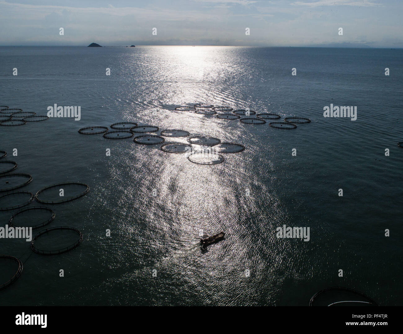 Mussel catching hi-res stock photography and images - Alamy