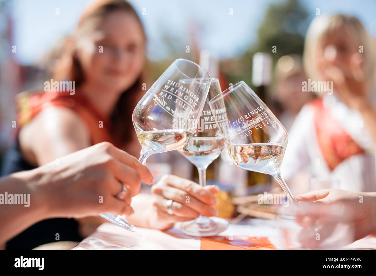 Bad Sulza, Germany. 19th Aug, 2018. HIghnesses toast each other at the ...