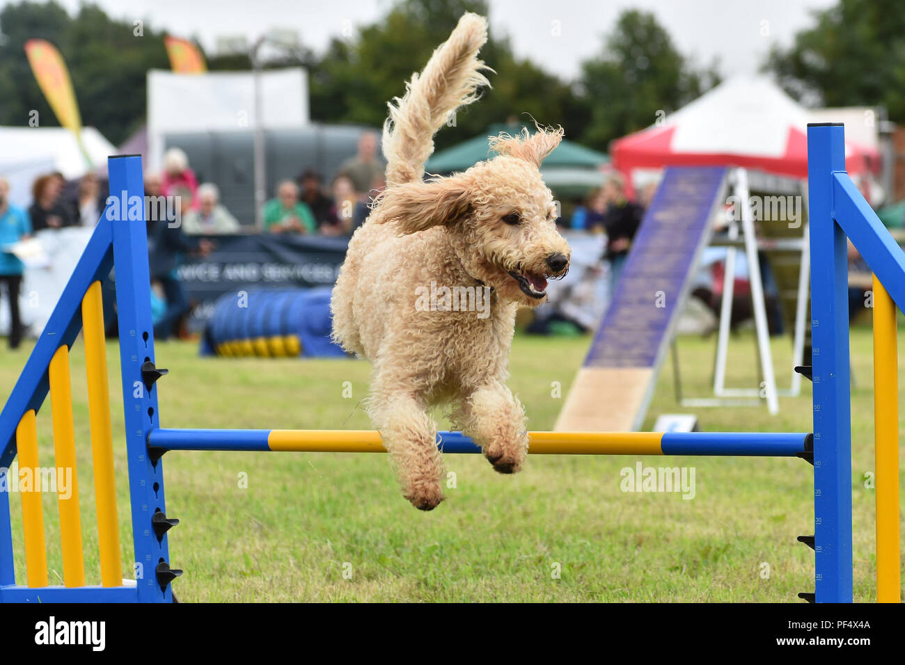 Buckham fair hi-res stock photography and images - Alamy