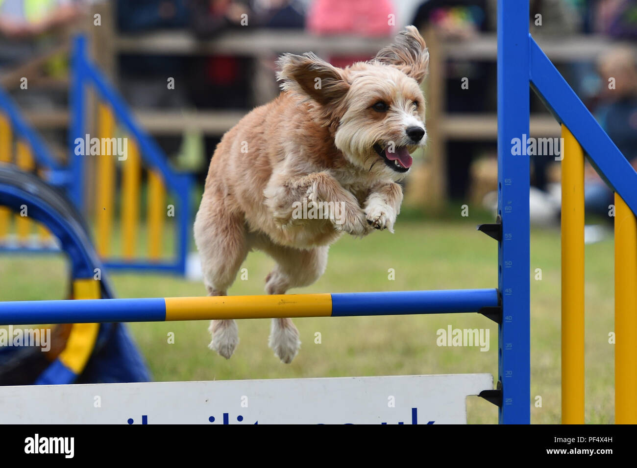 Buckham fair hi-res stock photography and images - Alamy