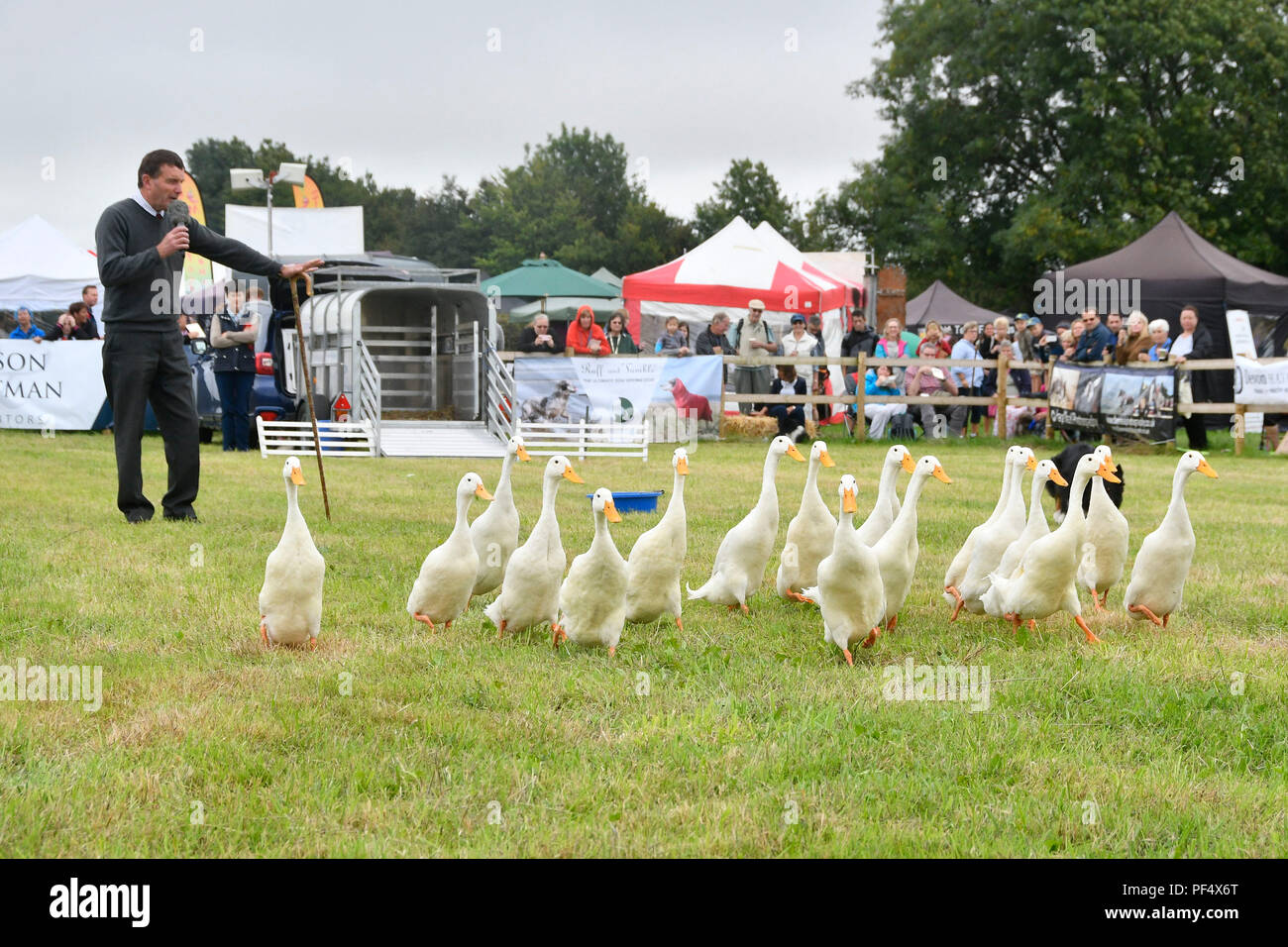 Buckham fair hi-res stock photography and images - Alamy