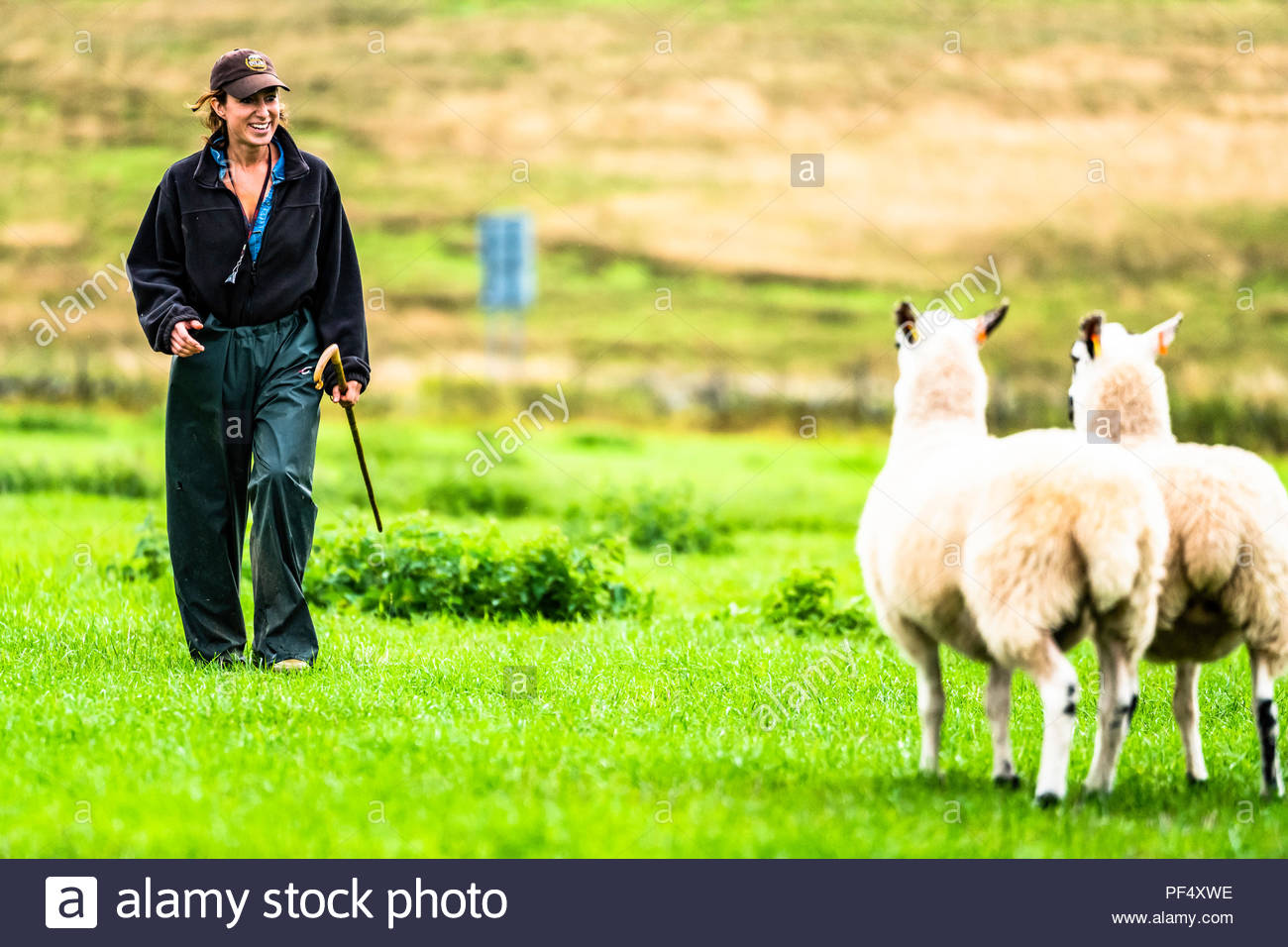 Emma Gray Stock Photos & Emma Gray Stock Images - Alamy
