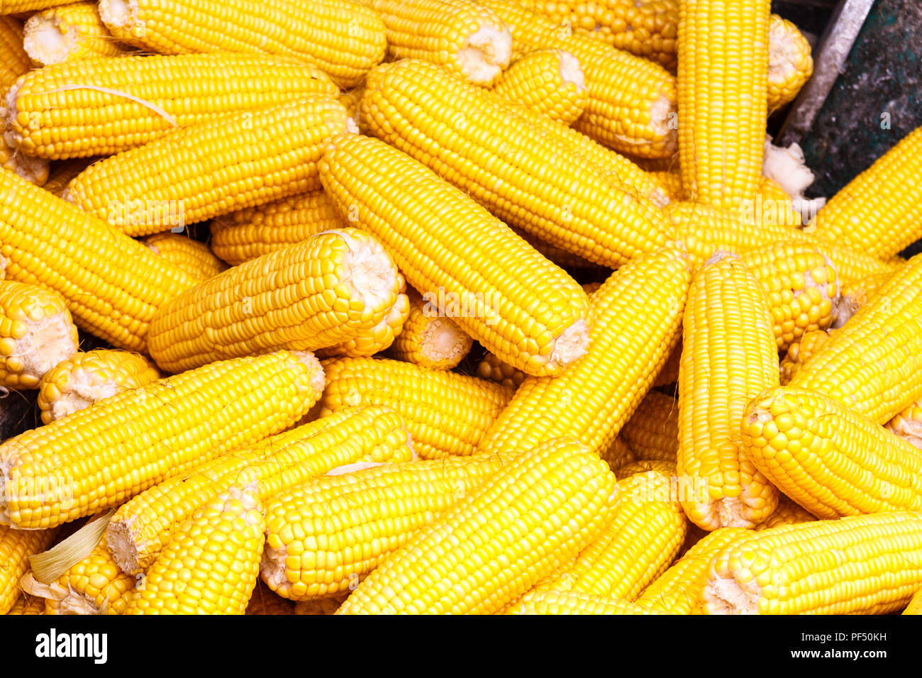 Sweetcorn stall hi-res stock photography and images - Alamy