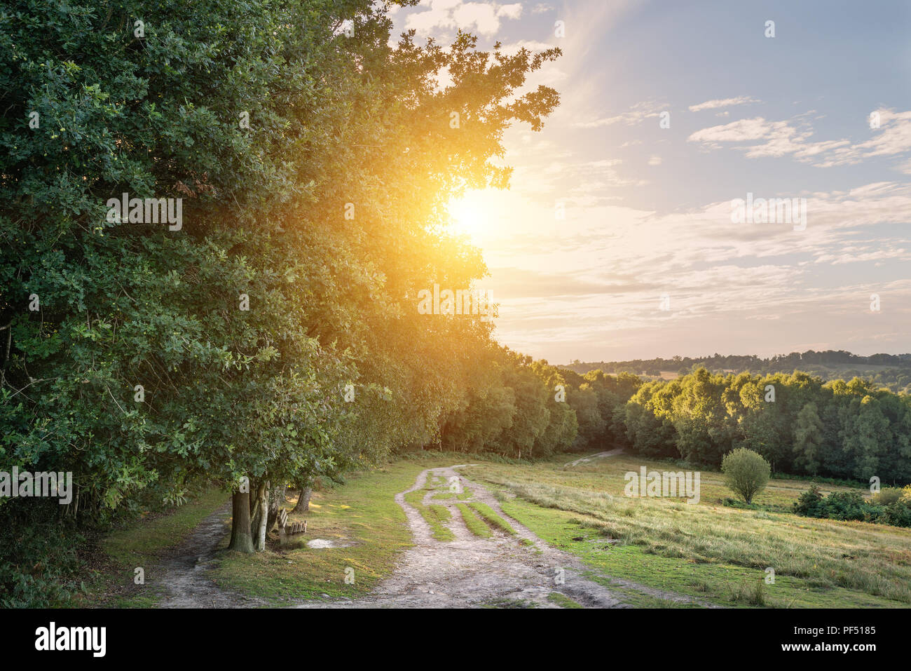 Ashdown forest hi-res stock photography and images - Alamy