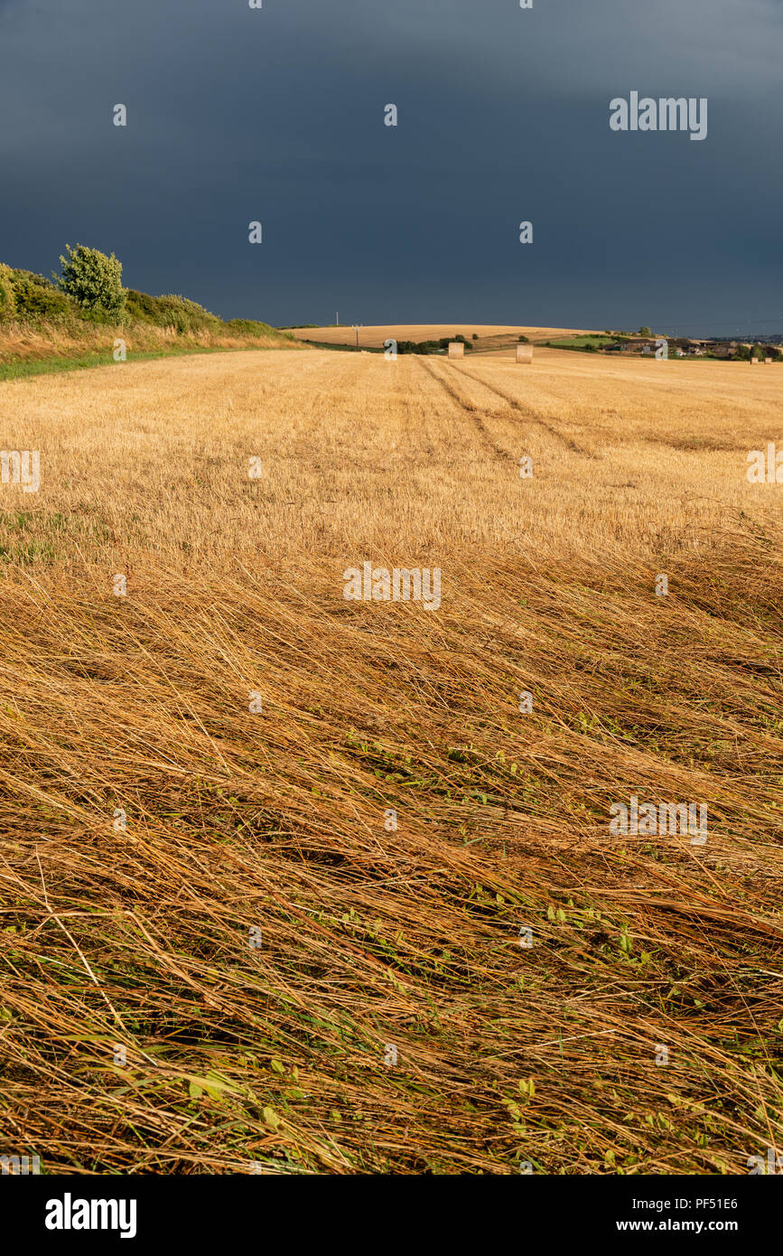 Beautiful moody Summer landscape of field of hay bales with dramatic ...